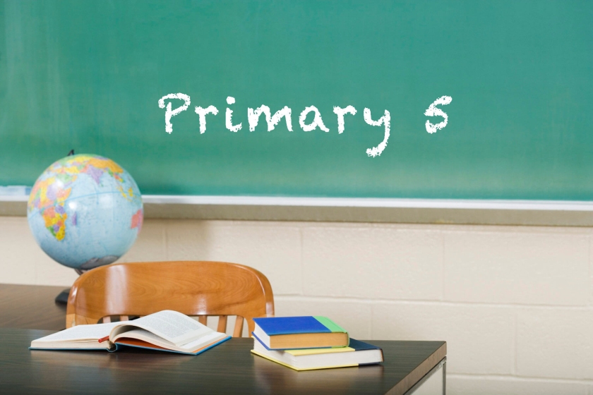 PRIMARY FIVE HOLIDAY PACKAGE